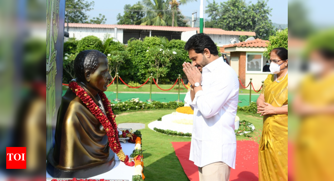 AP Formation Day: Andhra celebrates Formation Day, CM hoists tricolour ...