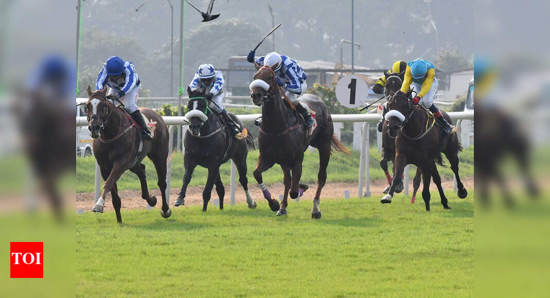 Horses back on track as Bangalore Turf Club season begins | More sports ...