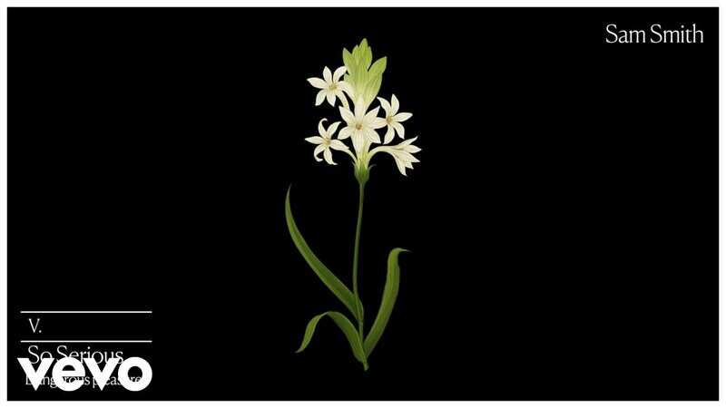 Listen To Latest English Official Music Audio Song 'So Serious' Sung By ...