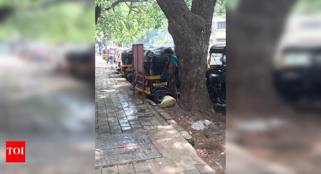 open defecation on roads - Times of India