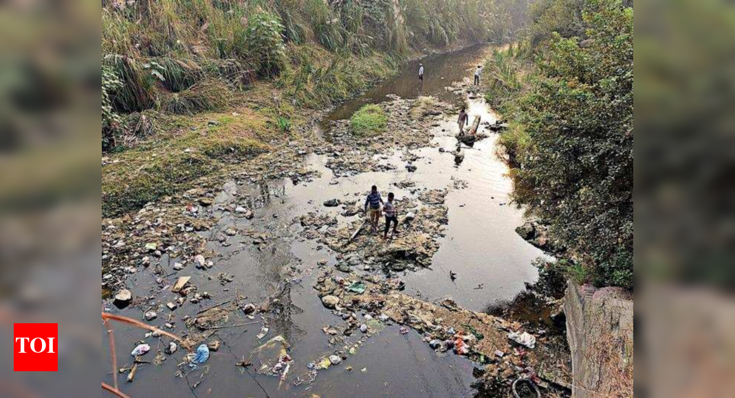 Ganga canal closure turns Kot Escape canal into cesspool | Noida News ...