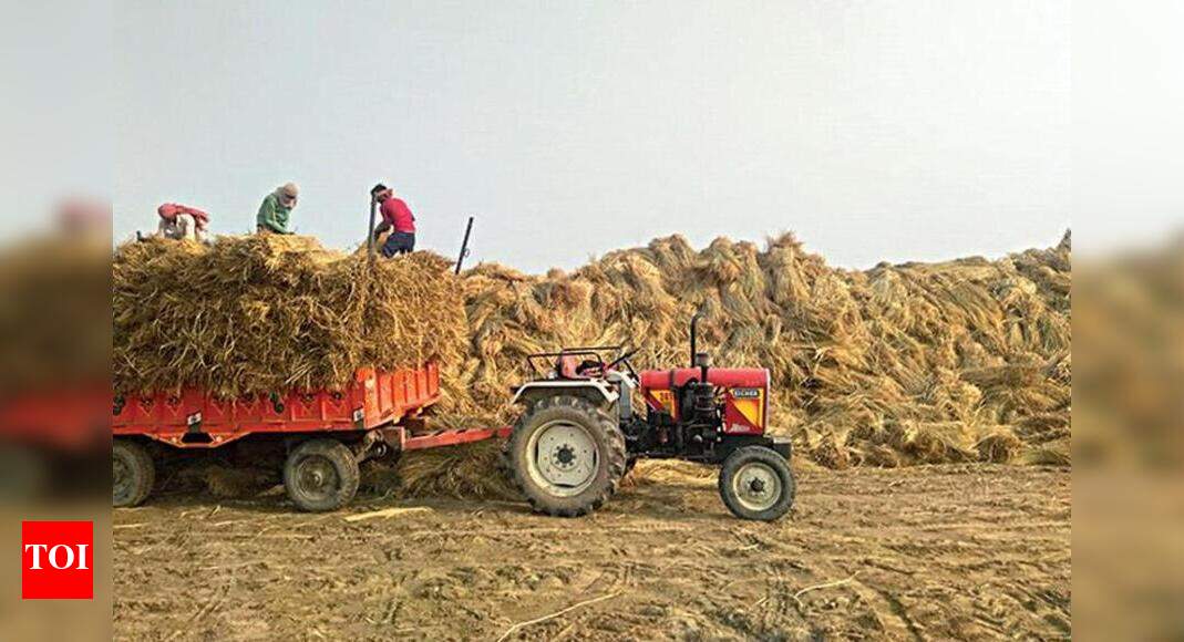 Delhi: A simple solution to curb farm fires, ask this duo | Delhi News ...
