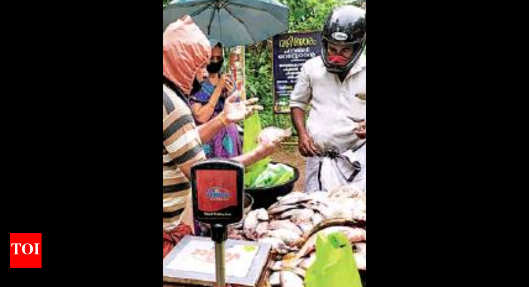 Pandemic upends business of fish sellers in Kerala | Kochi News - Times ...