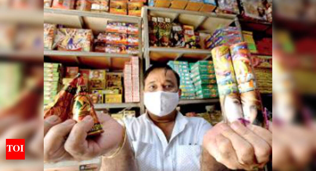 Ban on firecrackers in 13 pollution-hit UP districts till November 30 ...