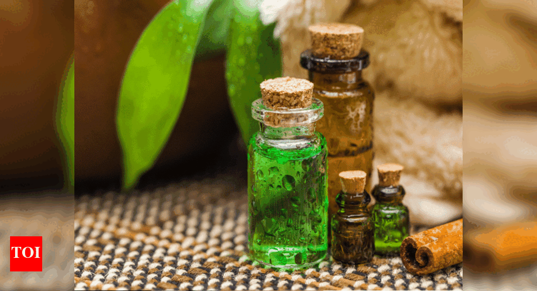 Tea tree essential oil: Get rid of skin rashes, acne and dandruff ...