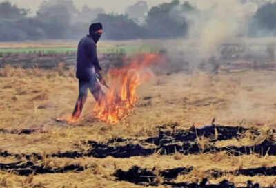 'Biomass burning pollution second to industrial emissions in Punjab ...
