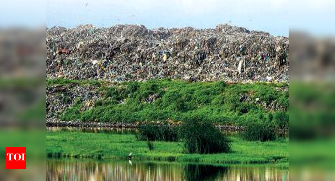 Chennai: Vendors line up, ask new waste management firm to clean their ...