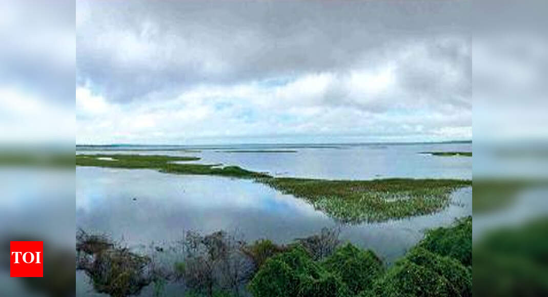 Chennai: Chembarambakkam lake nears 70% of its capacity | Chennai News ...