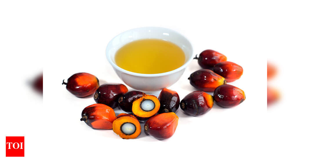 Palm Oil Benefits: Palm oil extracted from vitamin E useful in boosting immune response