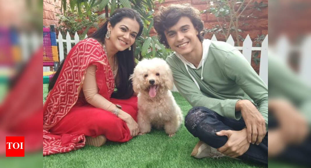 Ssudeep Sahir, Shweta Gulati and Ansh Sinha welcome a new member in ...