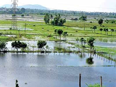 CMDA plans mini Anna Nagar on 800-acre plot near Tambaram | Chennai ...
