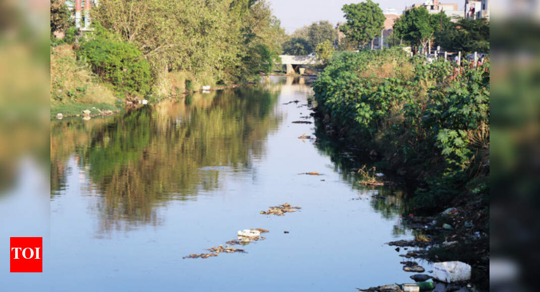 MC’s plan to flush Buddha Nullah by pumping fresh water divides city ...