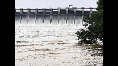 Maharashtra: Jayakwadi dam set for 22 TMC water release for Rabi season ...