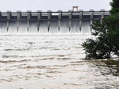 Maharashtra: Jayakwadi dam set for 22 TMC water release for Rabi season ...