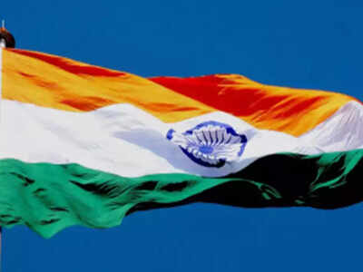 Gujarat: 10-year-old boy among 4 held for insulting National Flag ...