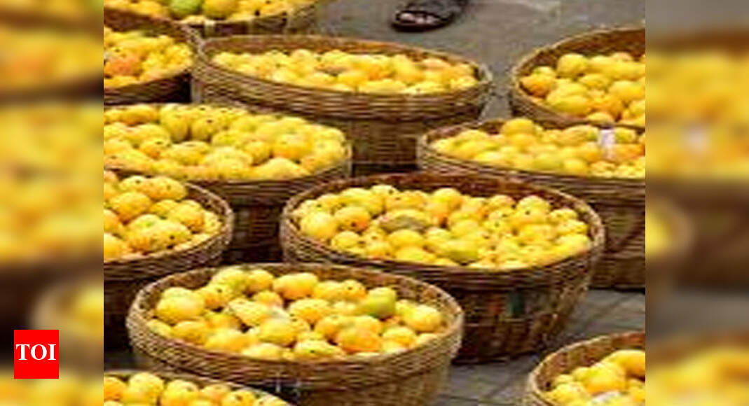Muthalamada mango export begins early | Kochi News - Times of India
