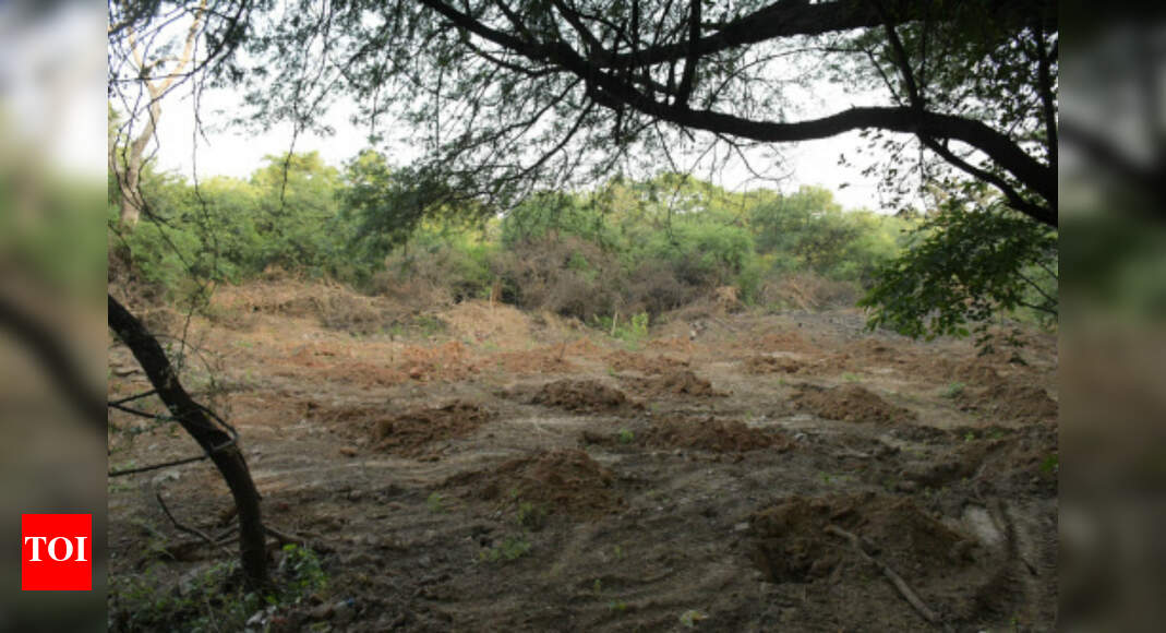 Forest department to mark trees afresh in Anakkayam | Kochi News ...