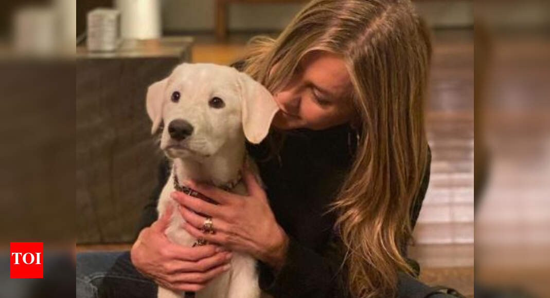 Jennifer Aniston cuddles up with pet dog on Thanksgiving: 'We're ...
