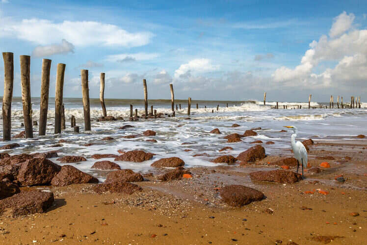 Romancing the beaches of West Bengal | Times of India Travel