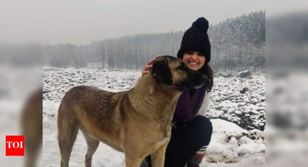Maira Doshi poses with a canine, says, 'When life grows cold, a dog ...