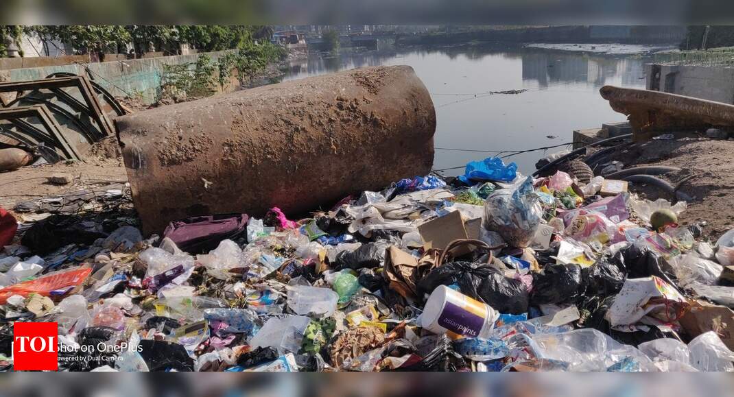 Mumbai Meri Ghaan - Times of India