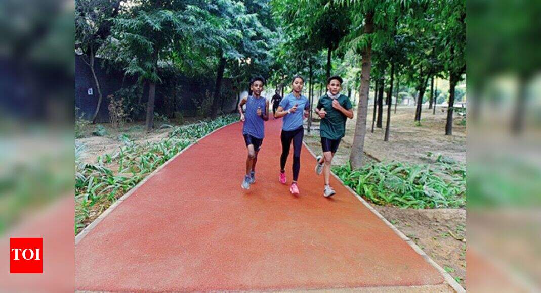 Delhi: A walk in the (Nehru) Park... thanks to 3km synthetic track ...