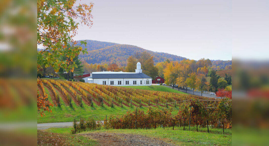 The Birthplace of American Wine: The Untold Story behind Virginia’s ...