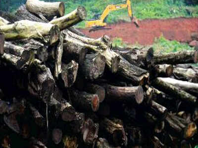 HC trips power play in Mollem, scraps Tamnar construction nod | Goa ...