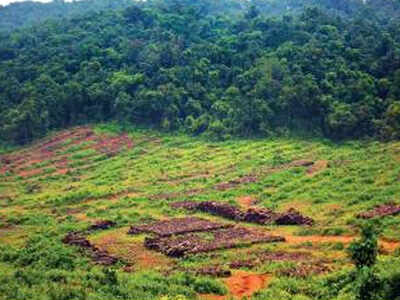 Withdraw project from fragile Western Ghats, don’t destroy Goa’s ...