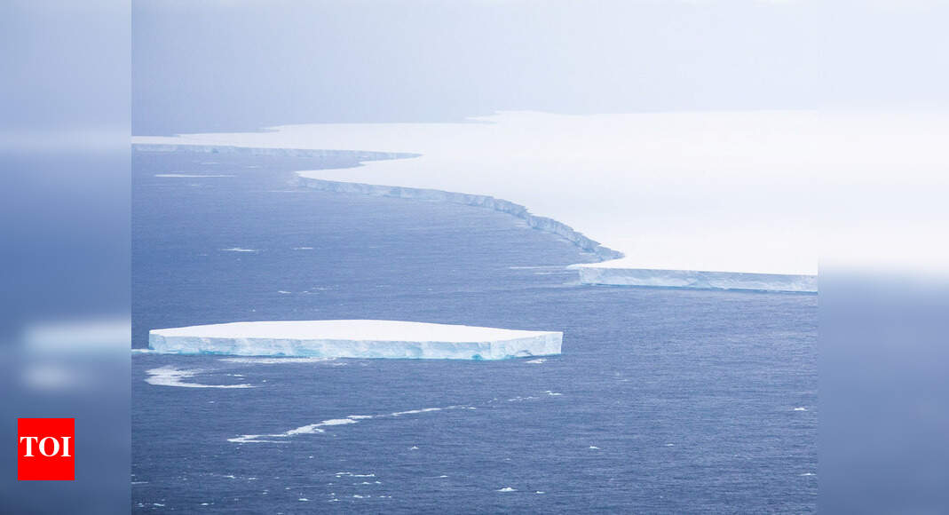 Giant iceberg on course to collide with south Atlantic penguin colony ...