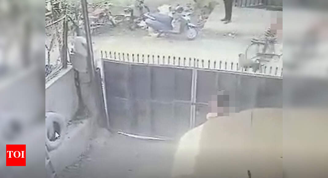 Thane: CCTV confirms both langurs were electrocuted | Thane News ...