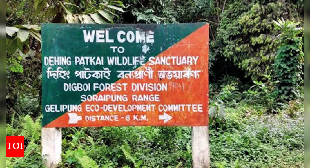 Post Mortem Of Elephant Calf Reveals Anthrax At Dehing Patkai Guwahati News Times Of India