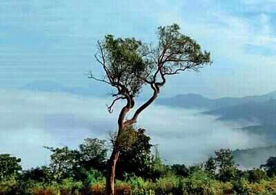 Wintry Lammasingi sees tourists flow in from across Andhra Pradesh ...