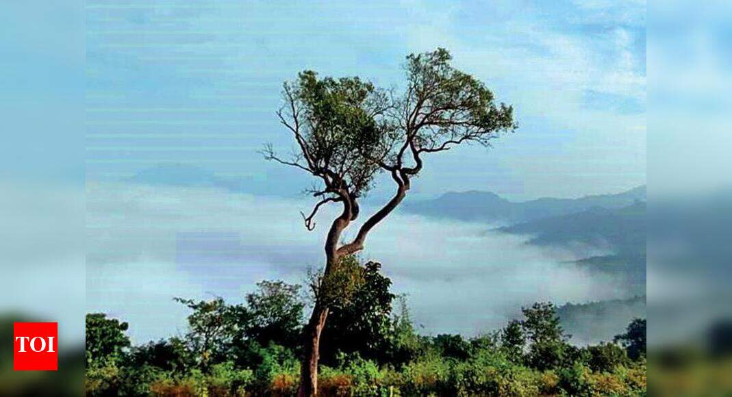 Wintry Lammasingi sees tourists flow in from across Andhra Pradesh ...