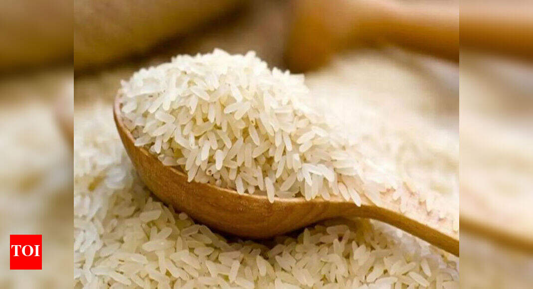 Rice rates extend gains to over 2-month high on fresh orders - Times of ...
