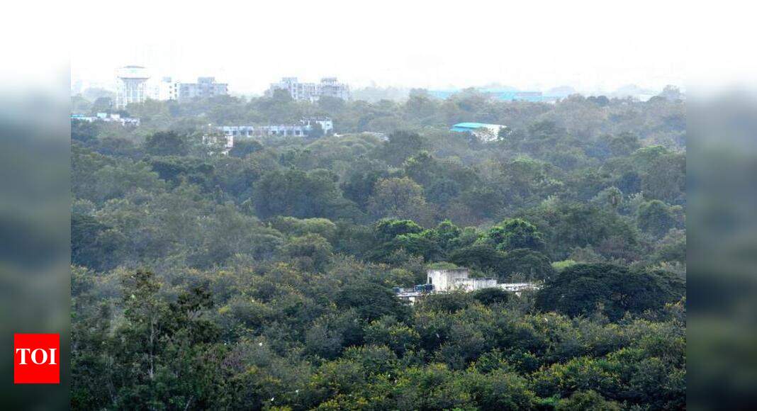 Ajni Project: ‘Ajni project will fell many more trees than projected ...