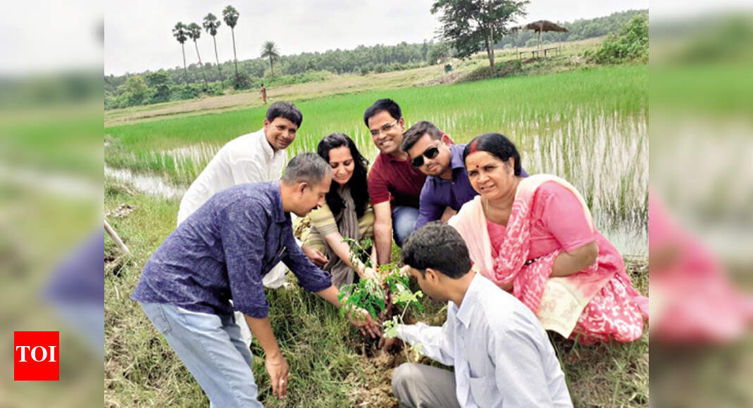 Farming Passion: Jharkhand: Urbanites shift to villages, take up ...
