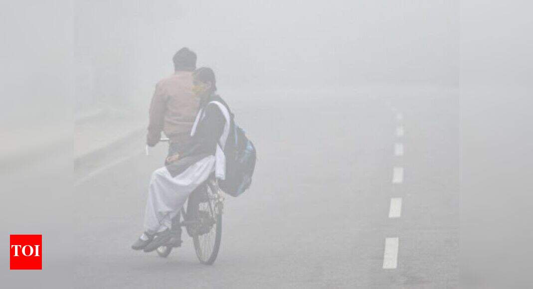 Light showers, fog observed in isolated parts of Uttar Pradesh ...