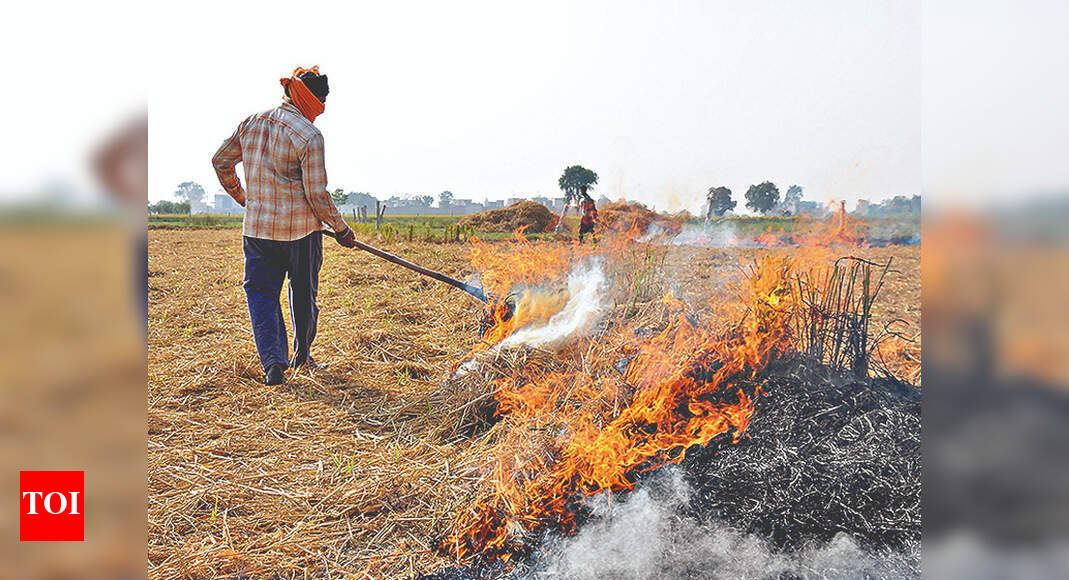 Delhi: In year of ups and downs, farm fire season came early, but left ...