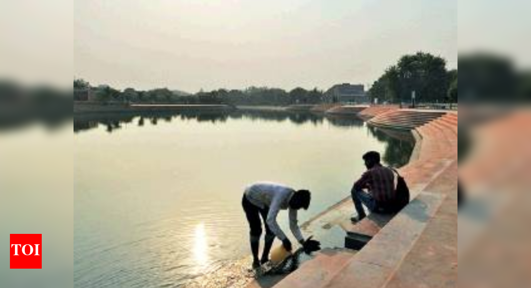 Chandigarh to start boating at Sector 42 lake | Chandigarh News - Times ...