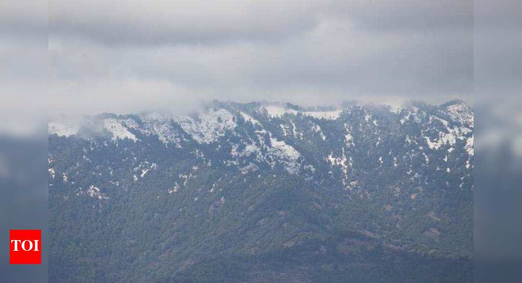 Snowfall in higher reaches, rainfall lashes plains of Uttarakhand ...