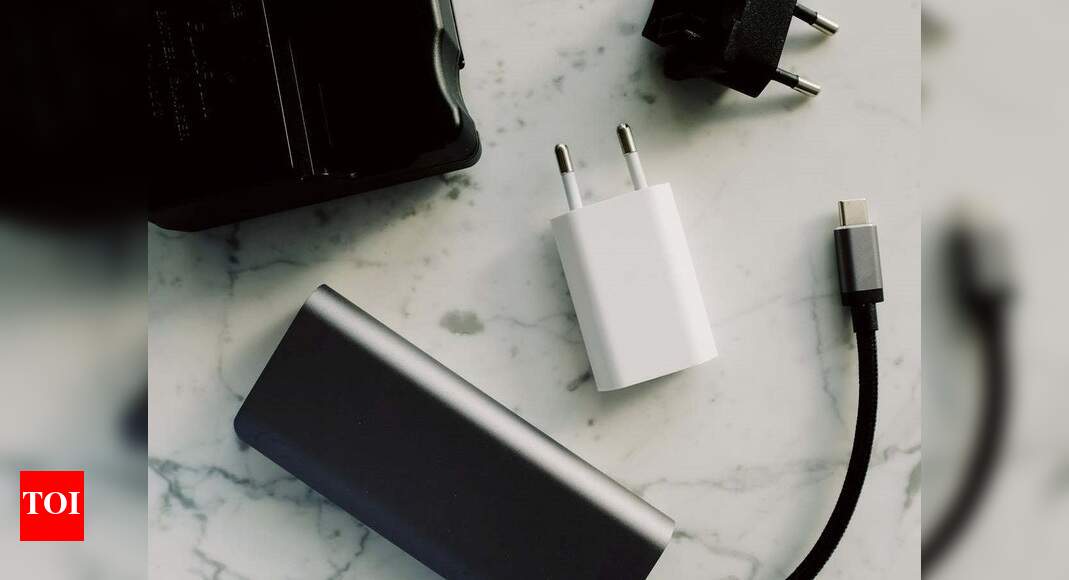 Standard Power Banks With Type-C Output Connectivity - Times of India