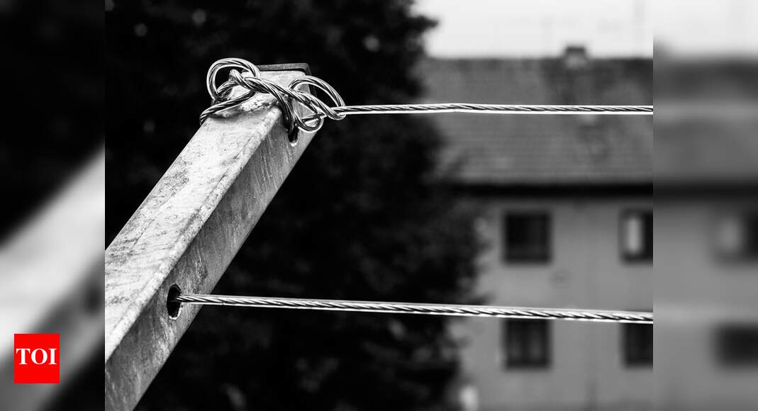 Monkey Electrocuted: In Thane, monkey gets electrocuted | Thane News ...