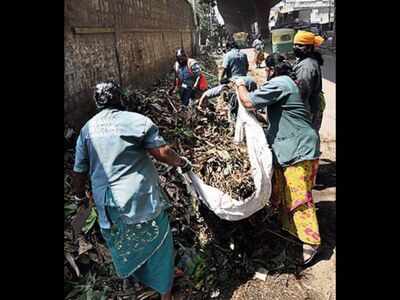 Bengaluru: BBMP to set up separate entity for waste management ...