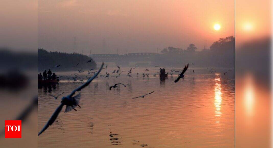 16-member panel to be set up under Delhi LG for Yamuna floodplain ...
