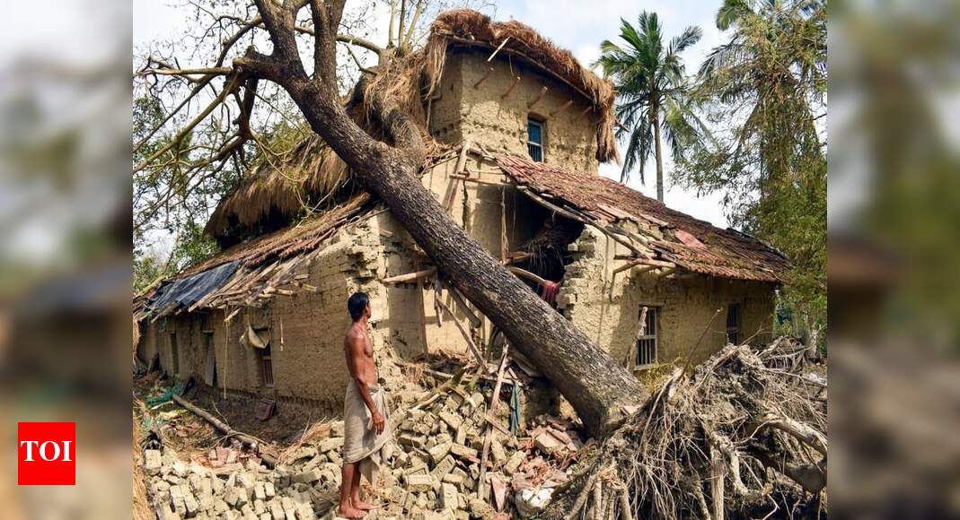 Disasters that struck the world in 2020 - Times of India