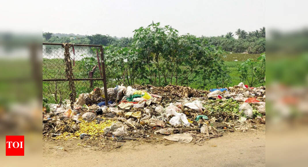 Karnataka: Garbage dumping, sewage choking Harohalli Lake | Bengaluru News - Times of India