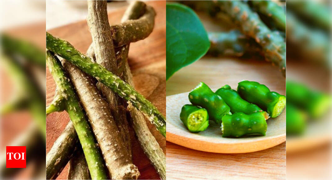 Giloy health benefits: Reasons to add giloy to your diet and boost ...