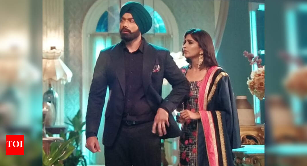 Choti Sardarni update, December 31: Sarab and Meher return to Gill ...
