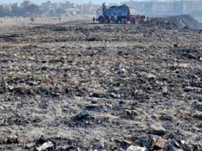 Delhi: How an eco park will rise from the ashes | Delhi News - Times of ...